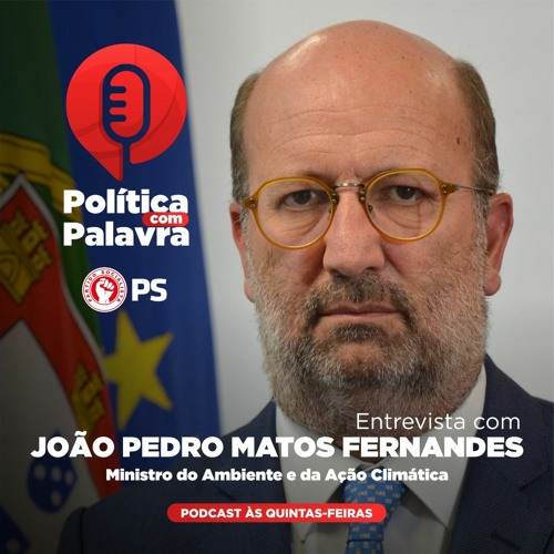 Matos Fernandes: Transportes públicos vão garantir oferta plena na ...